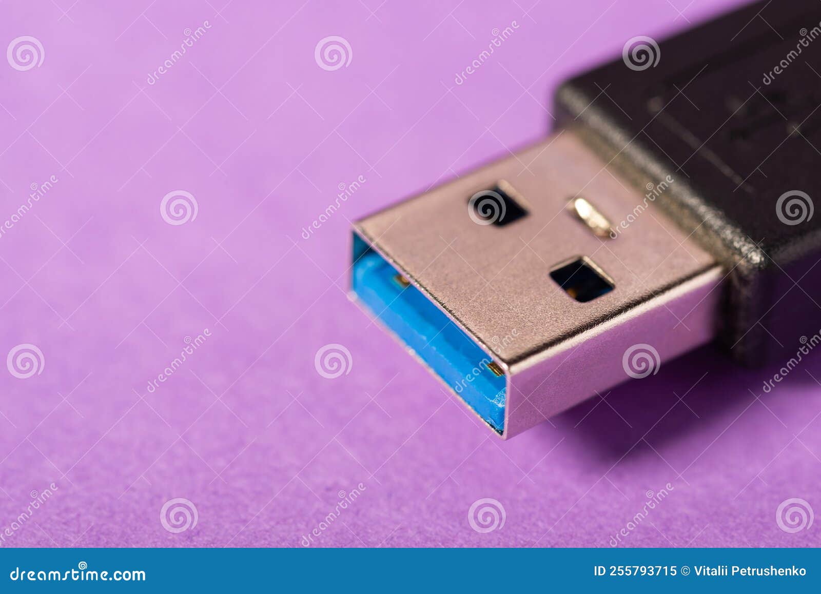 Close-up Shot of USB Type a Plug on Purple Background Stock Image ...