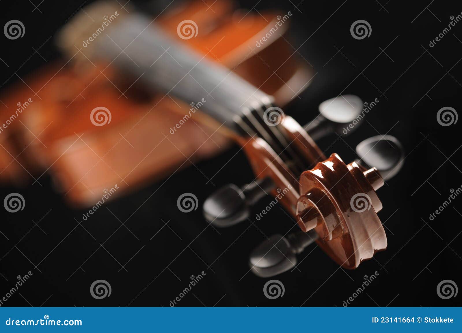 Close up shot of a violin stock photo. Image of sound - 23141664