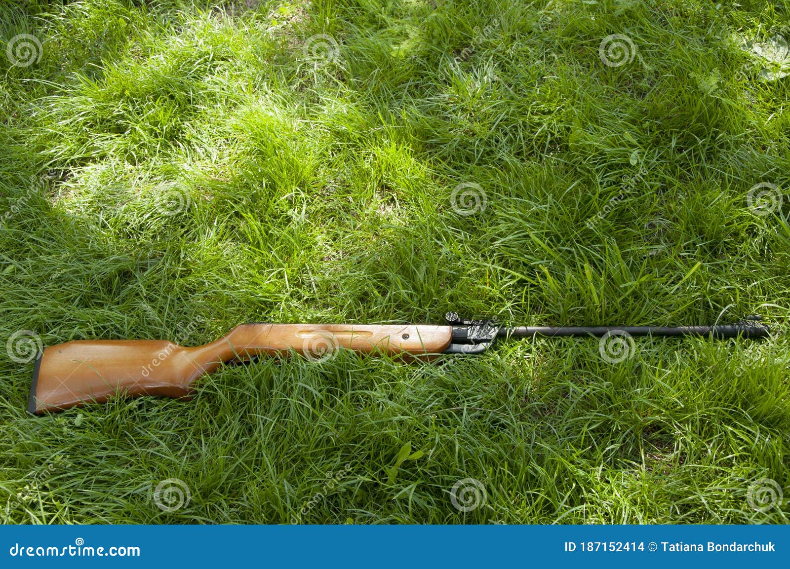 Close-up Shotgun Rifle in Green Grass Stock Photo - Image of horse ...