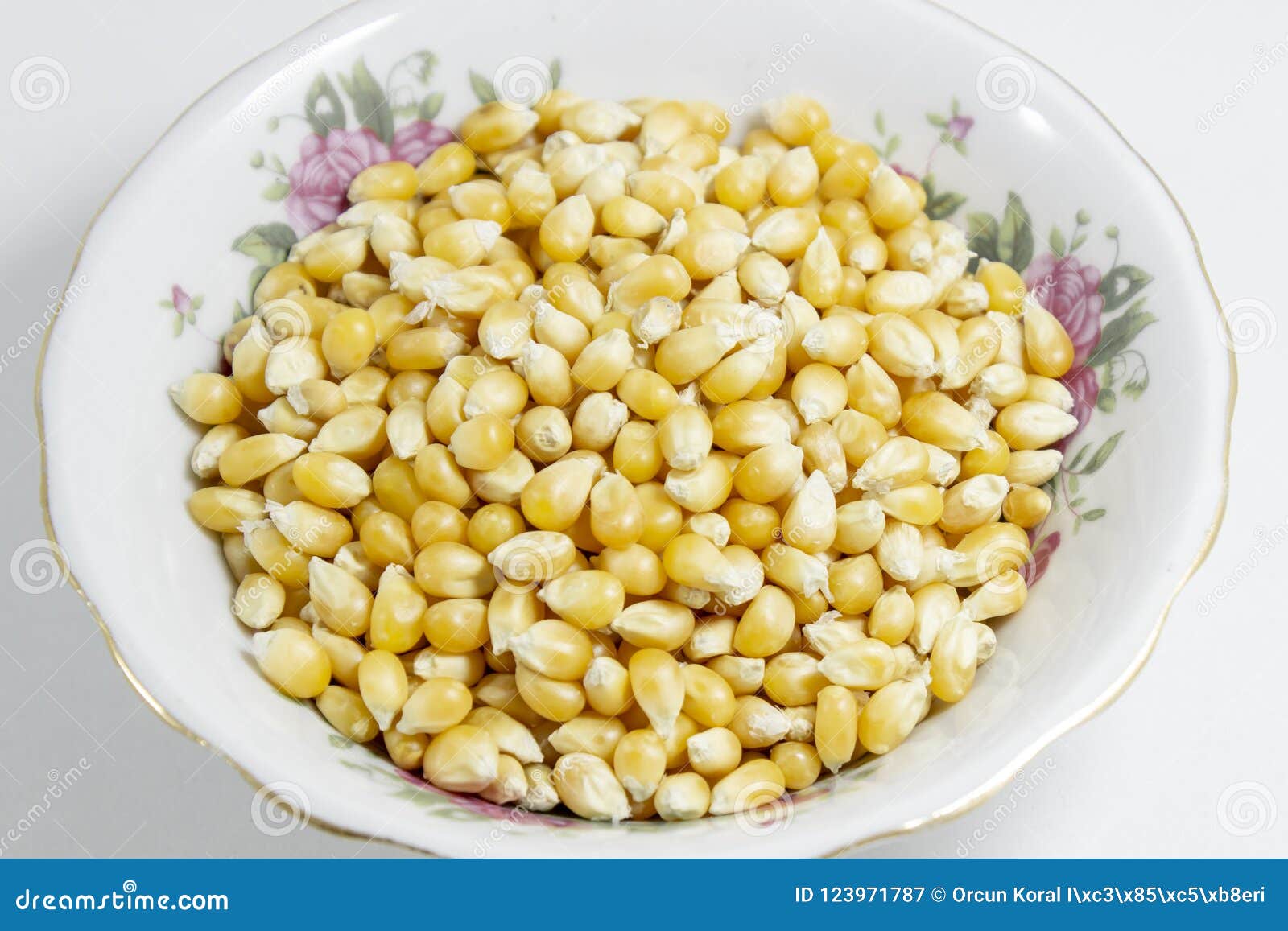 Close-up Shots of Multiple Corn Seeds in the Small White Cup Stock ...