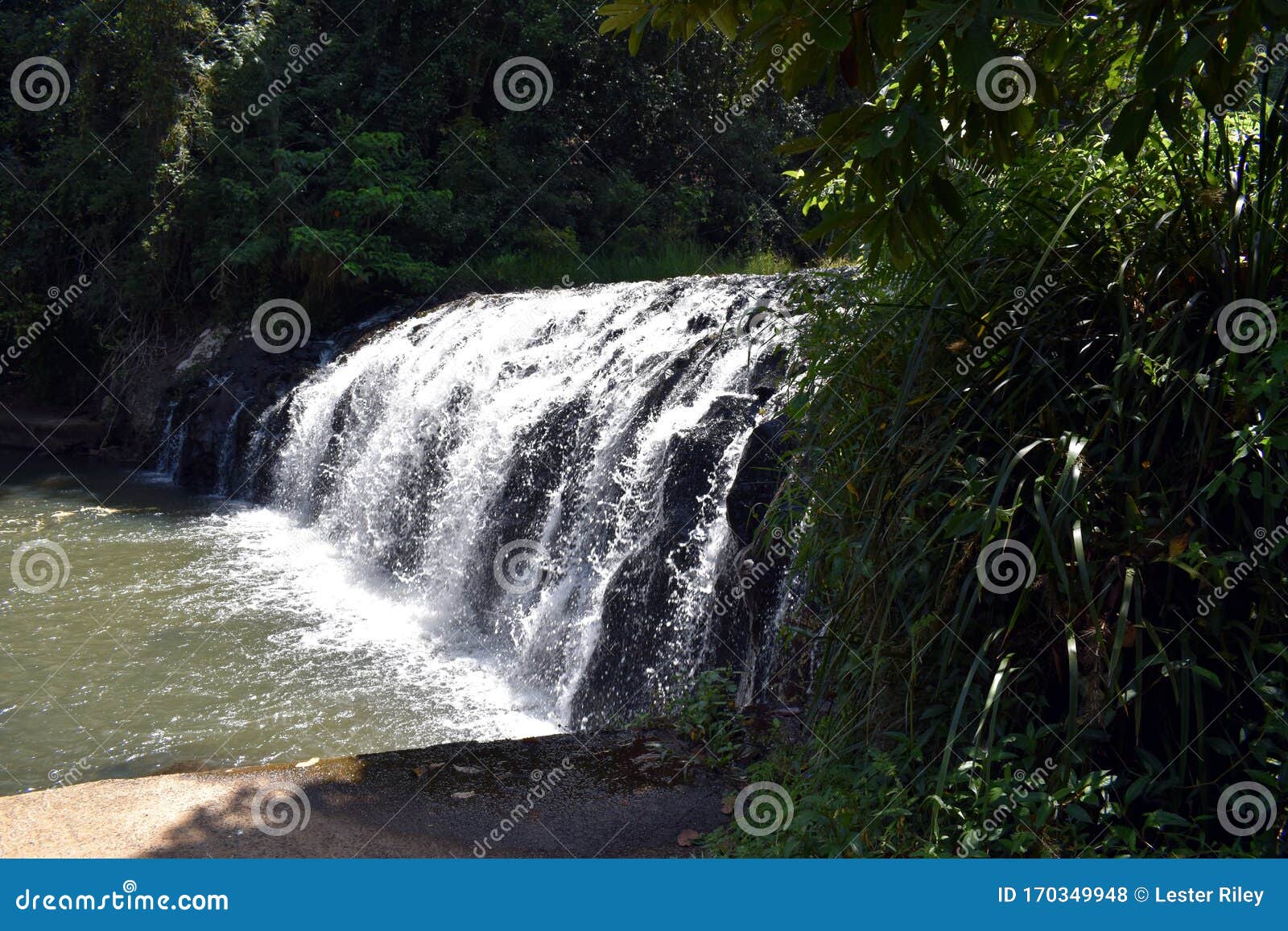 A Close Up Side Elevation of the Malanda Falls Stock Photo - Image of ...
