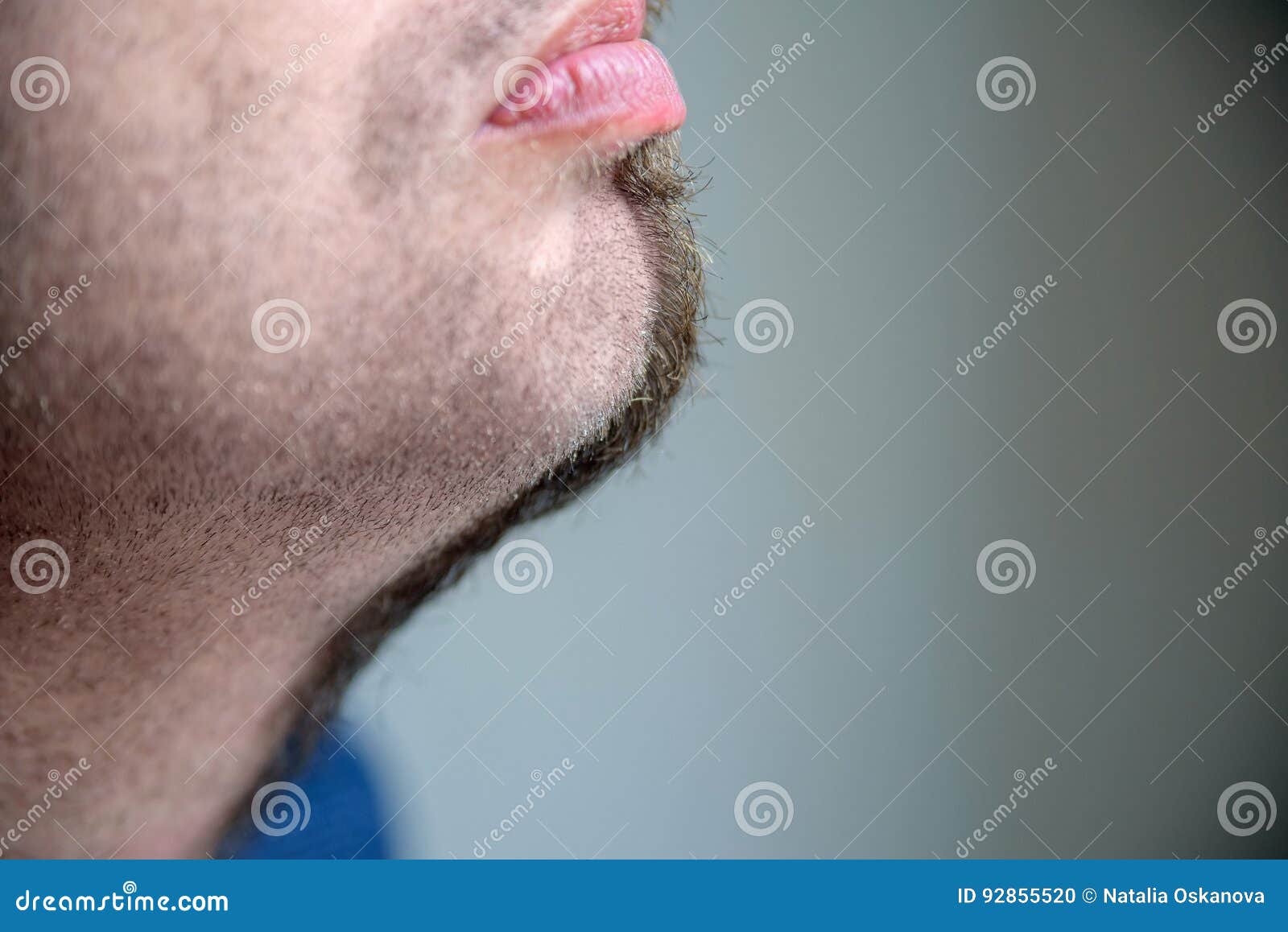 Close Up Side View Half Shaved Beard Stock Photo - Image of conscious ...