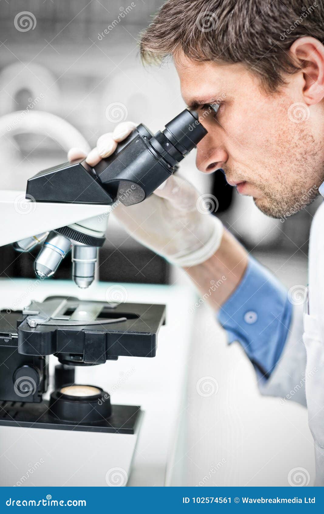 Scientific Researcher Using Microscope in the Laboratory Stock Image ...