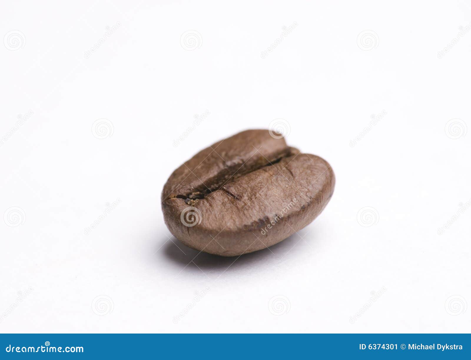 Close Up of Single Coffee Bean Stock Image - Image of drink, bean: 6374301