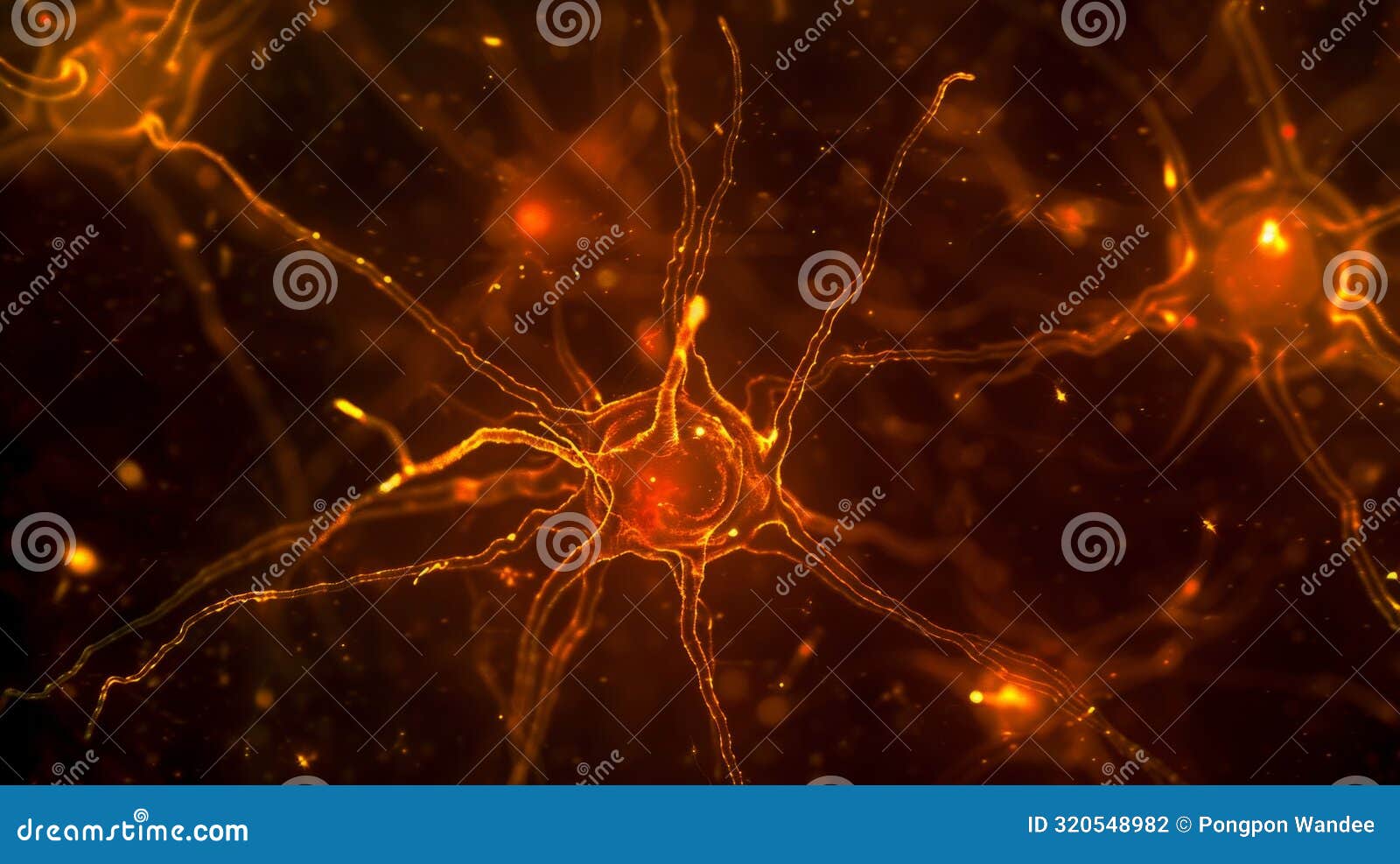 A Close-up of a Single Nerve Cell, or Neuron. it Has a Branching, Tree ...
