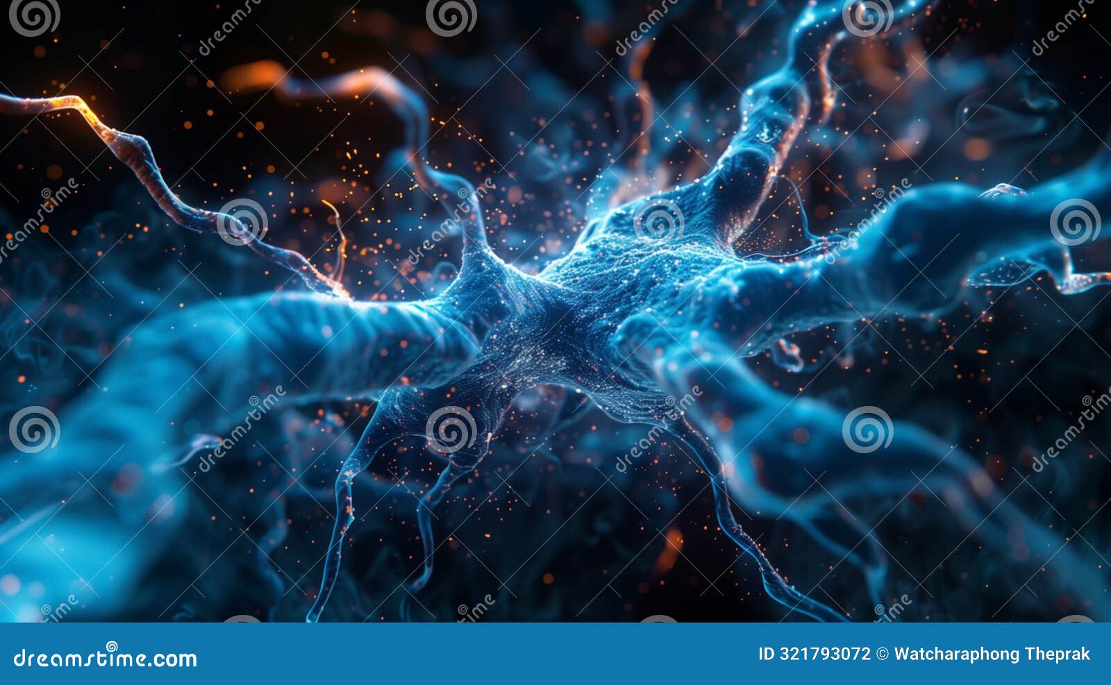 Close-up of a Single Neuron with Branching Connections Stock ...