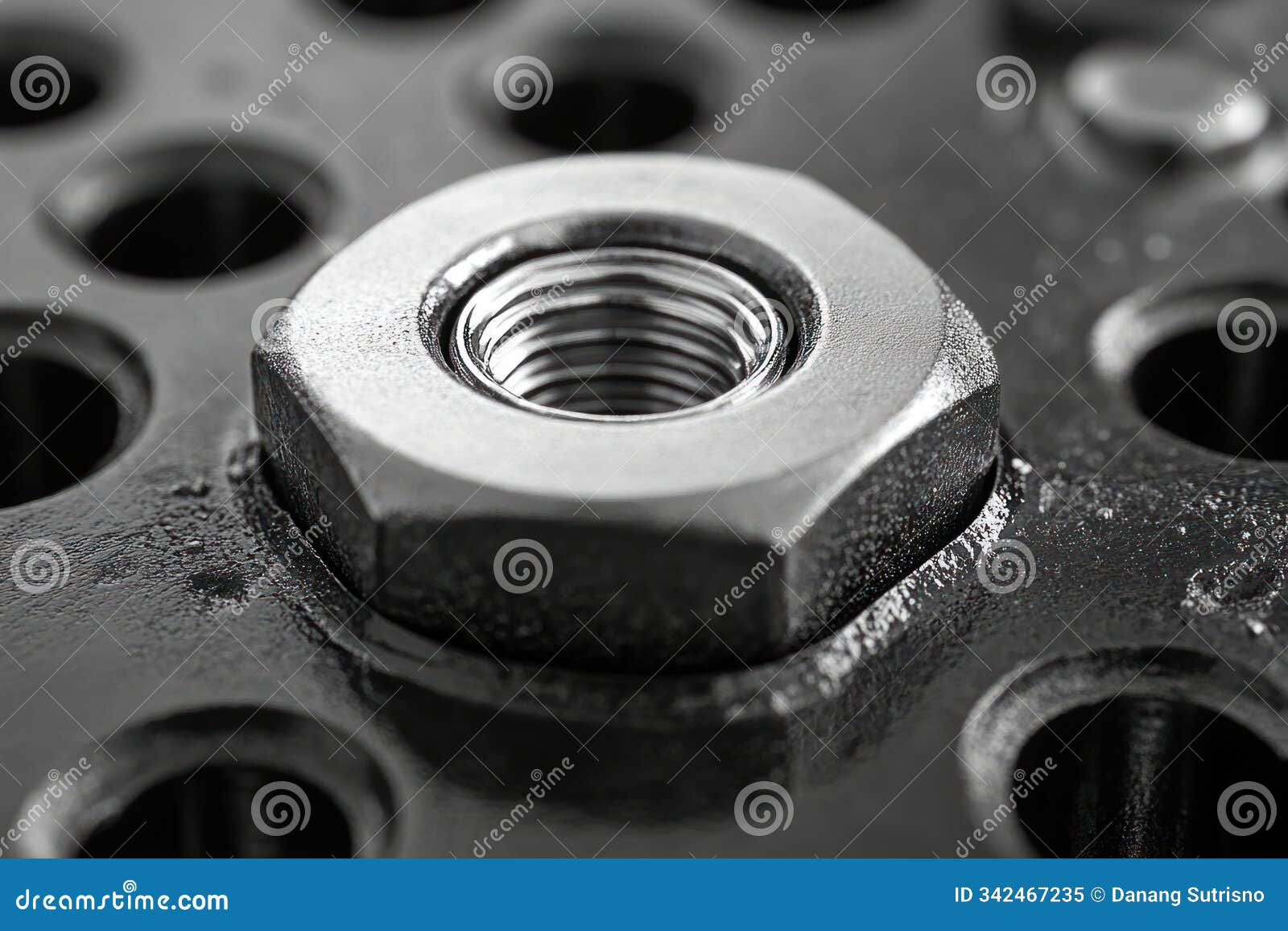 A Close-up of a Single Nut, Centered in a Metal Plate with a Pattern of ...