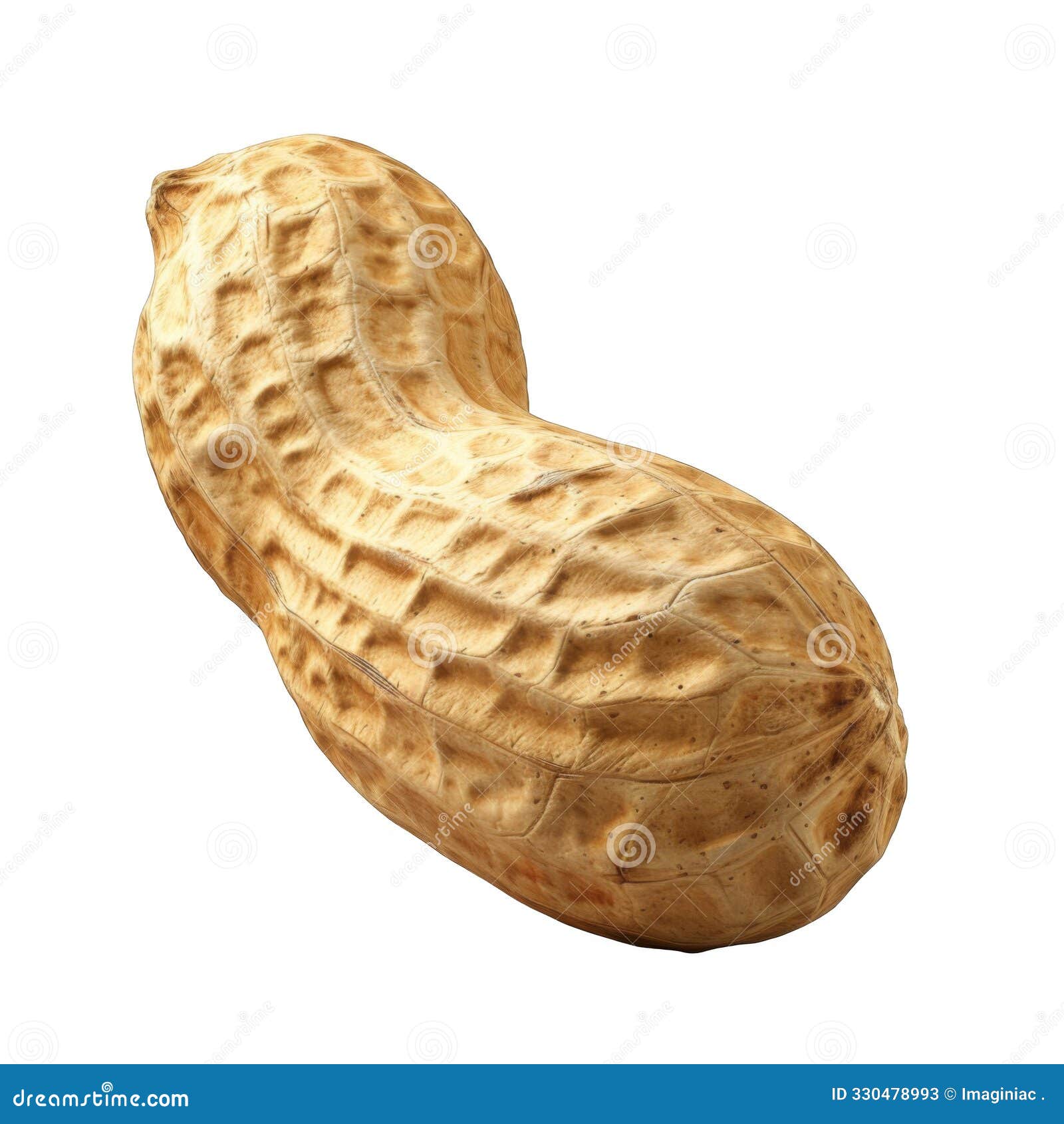 Close Up Of Peanut Isolated On White Background A High Protein ...
