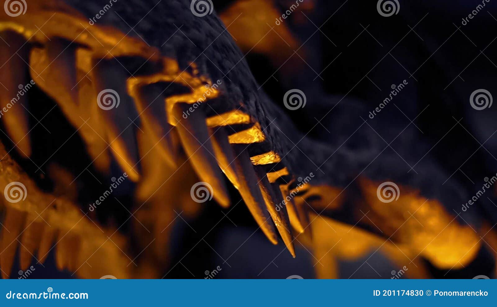 Skeleton of an Extinct Predator Dinosaur Skull Stock Footage - Video of ...