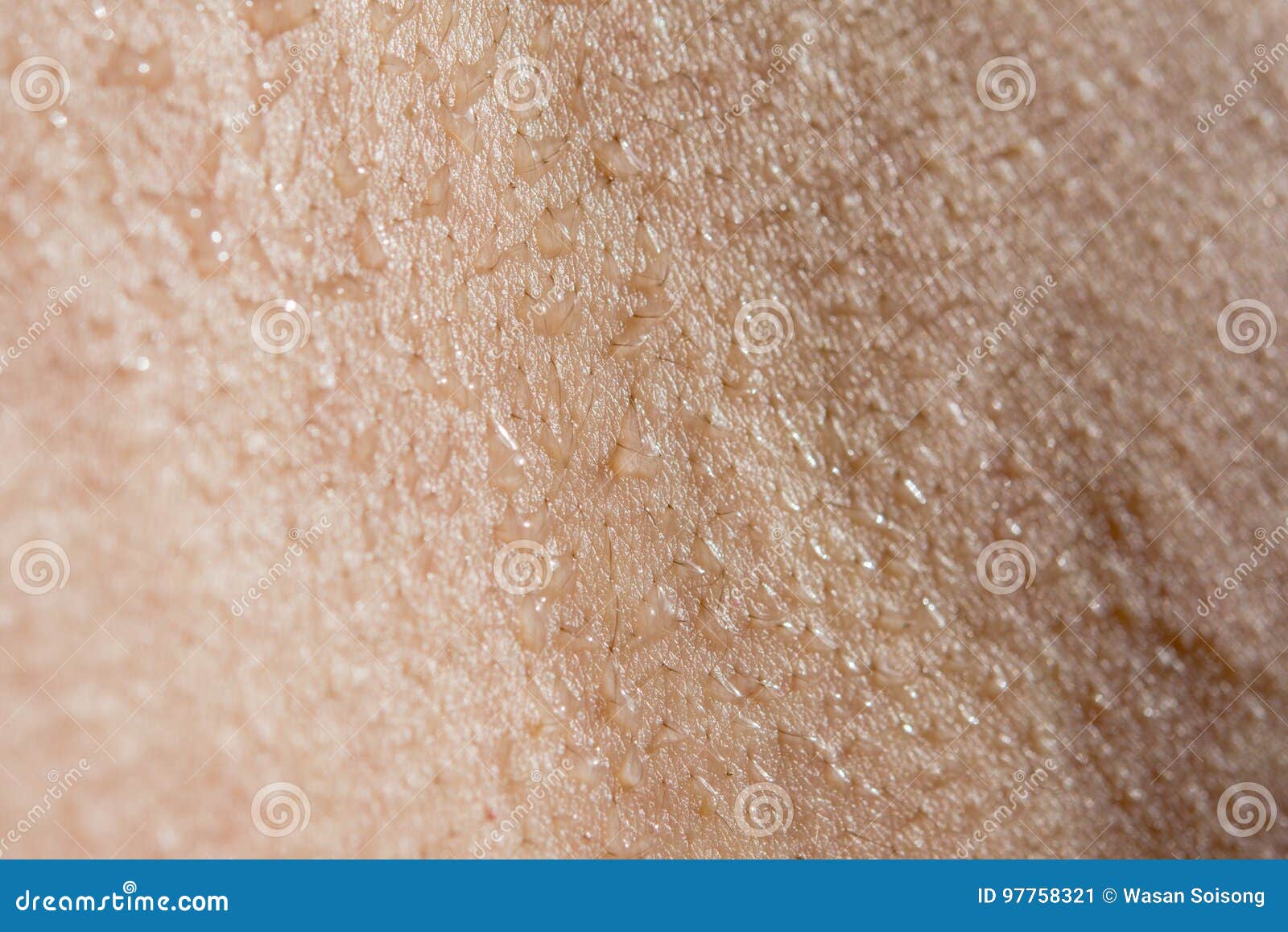 Close up of Skin is sweat stock image. Image of organ - 97758321