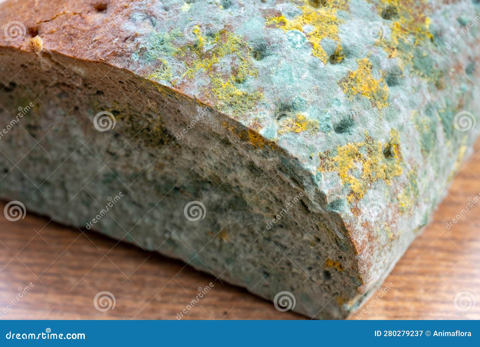 Close Up of a Slice of Bread with Mold Stock Image - Image of bread ...