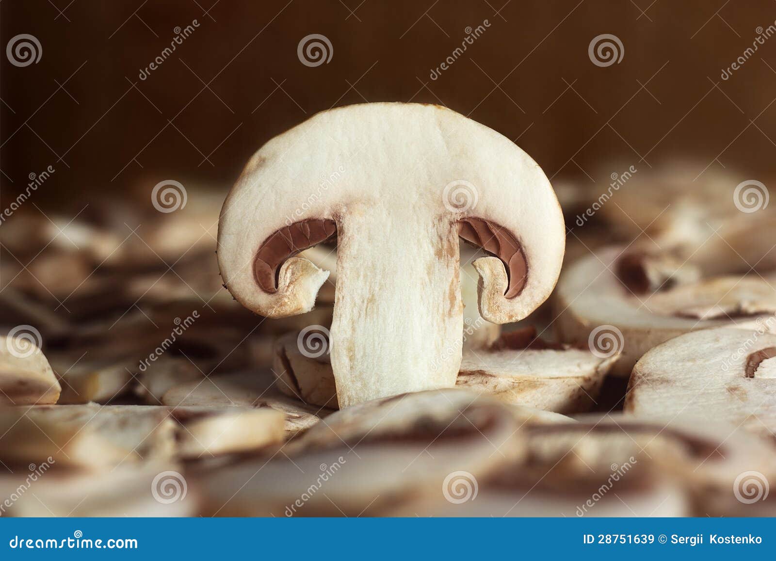 Close Up Sliced Piece of Champignon Mushroom Stock Image - Image of ...