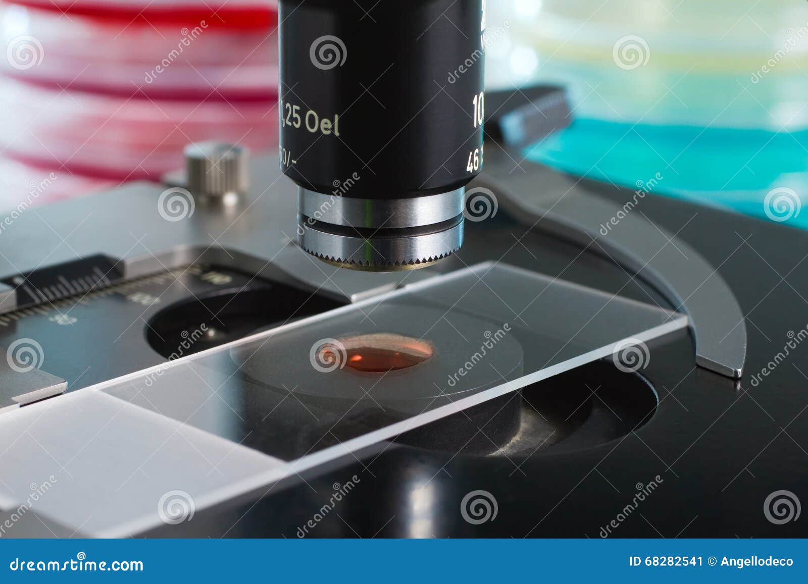 Close Up of Slide in Microscope in the Lab Stock Image - Image of ...