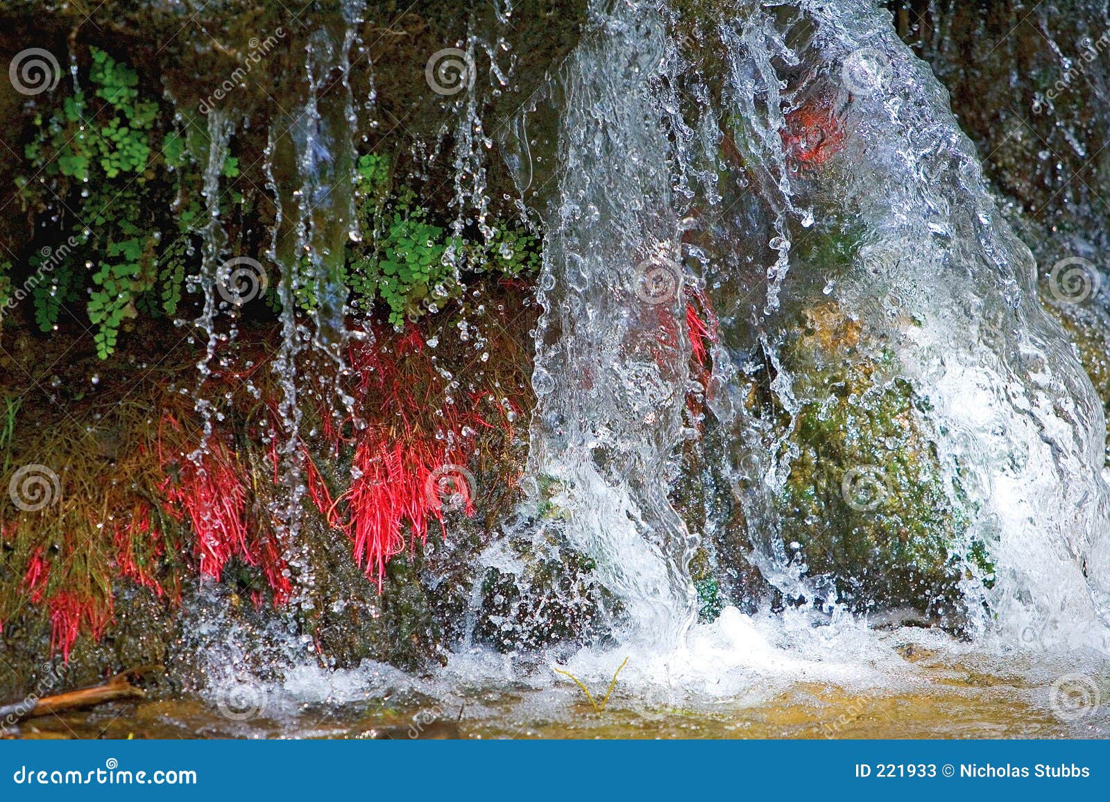 Close Up of Small Colorful Waterfall in Spain Stock Image - Image of ...