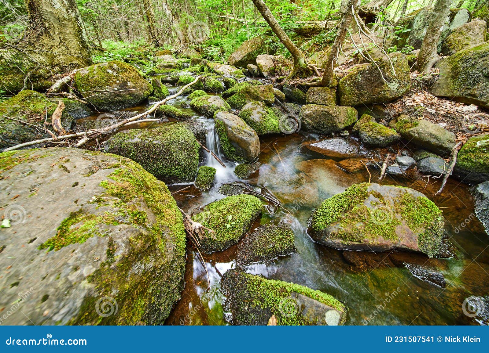 Close-up of Small Creek with Tiny Falls Over Very Mossy Rocks Stock ...
