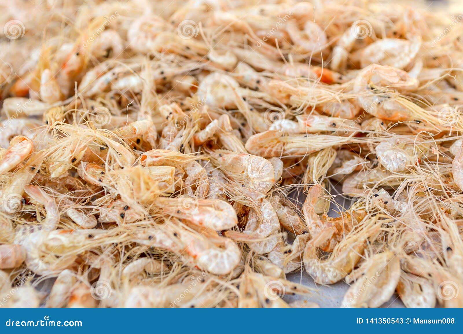 Small dried shrimp stock image. Image of dried, thailand - 141350543