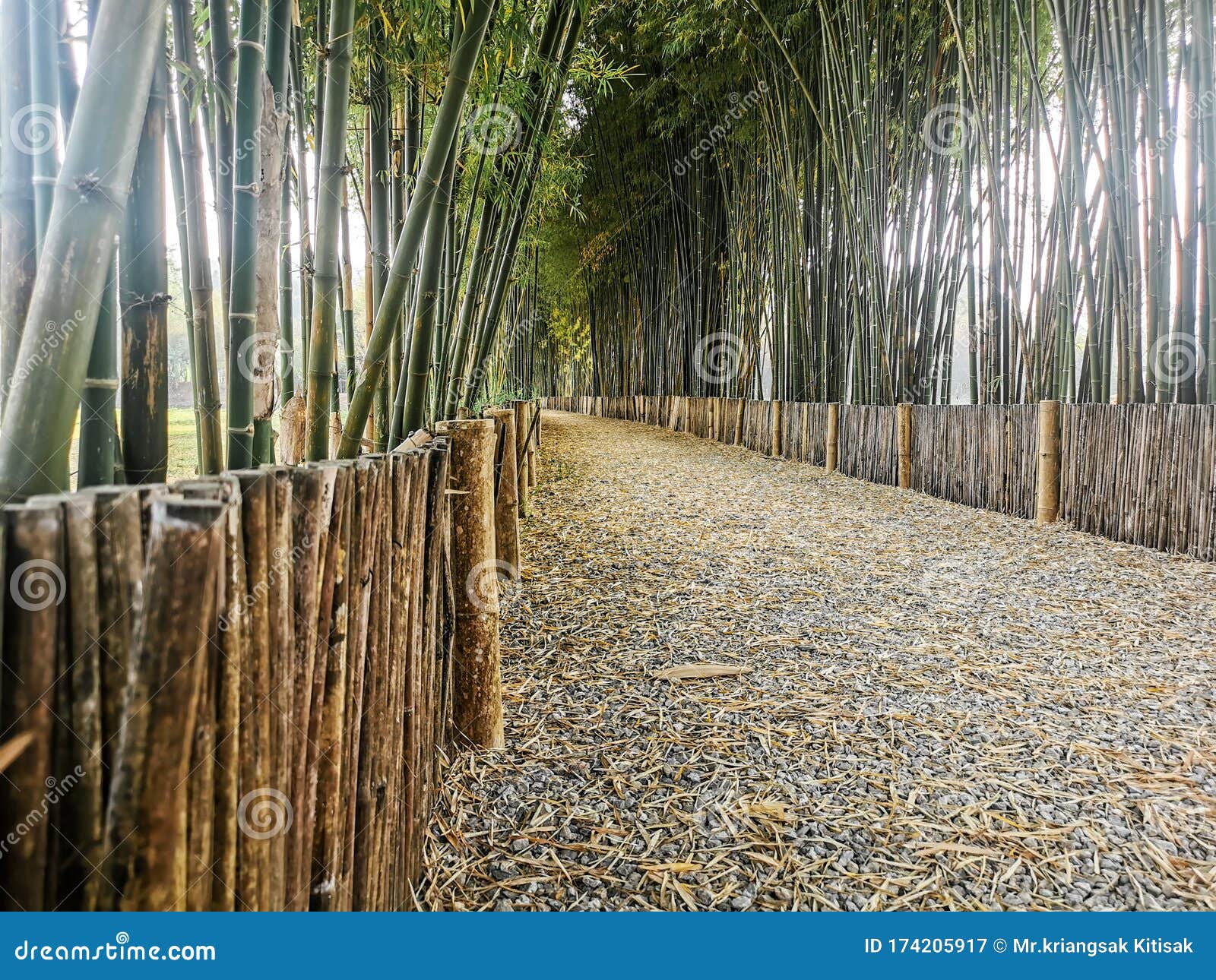 Small Pathway Through A Field Over A Bridge Stock Image | CartoonDealer ...