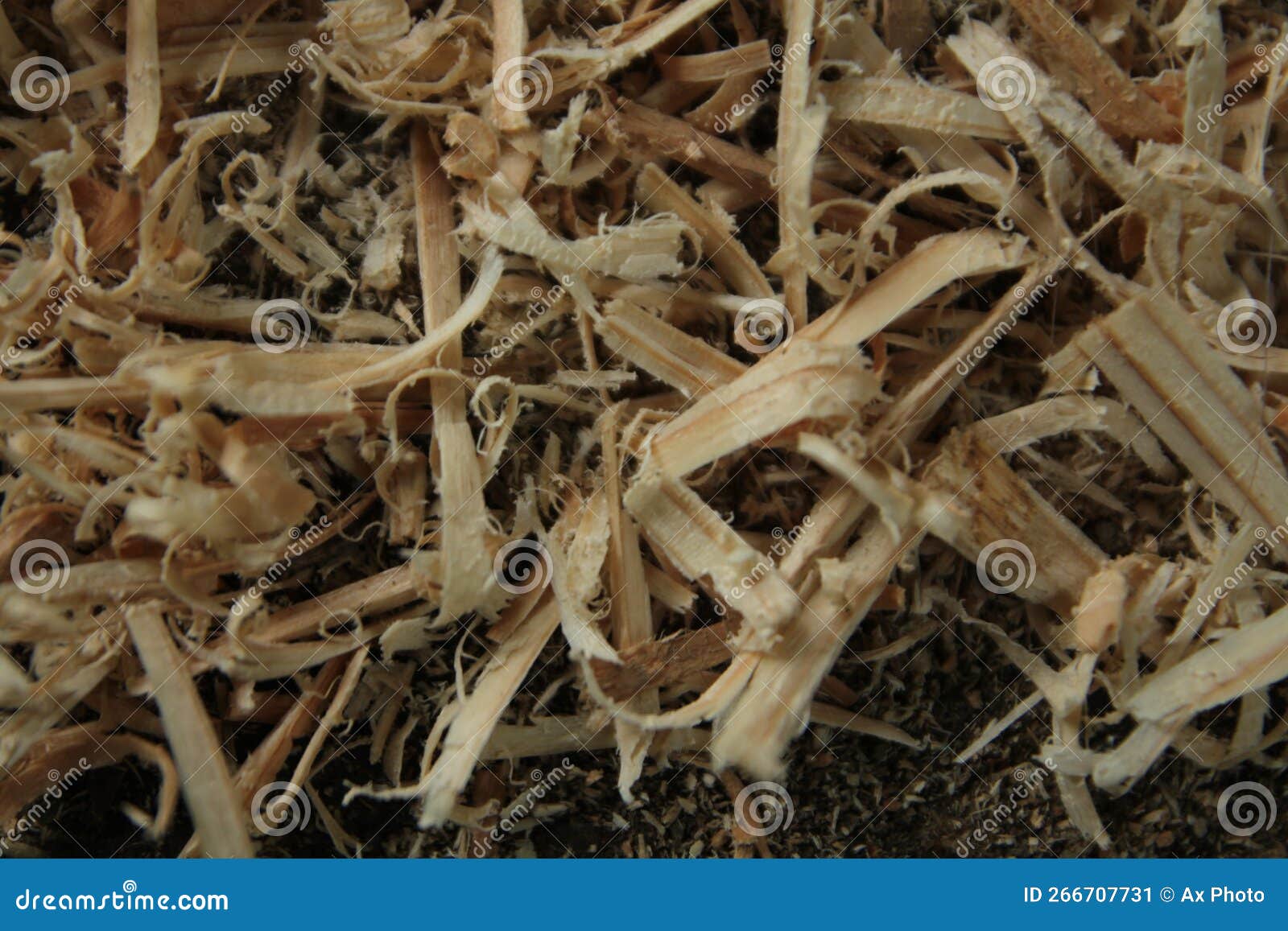 Close Up of Small Pieces of Wood on the Ground Stock Image - Image of ...