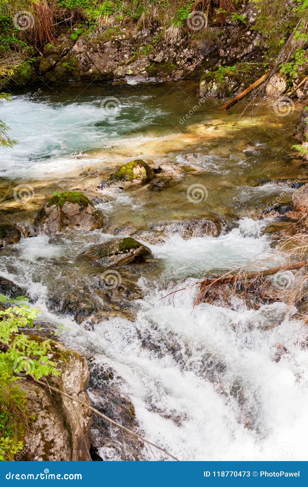 Close Up of Small Water Fall in a Forest Stock Image - Image of ...