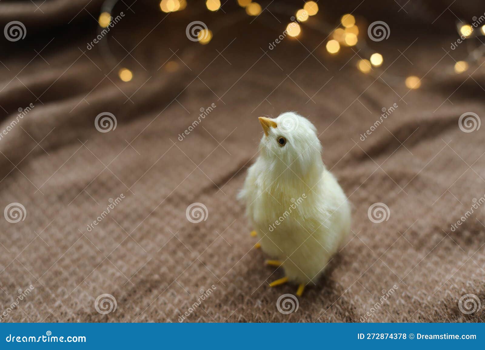 Close-up of a Small Yellow Chicken. Easter Card with a Copy Space ...