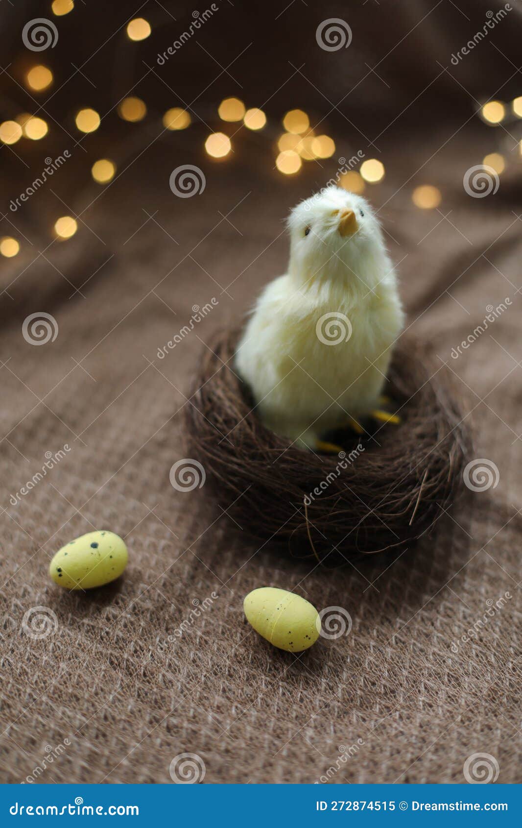 Close-up of a Small Yellow Chicken. Easter Card with a Copy Space ...