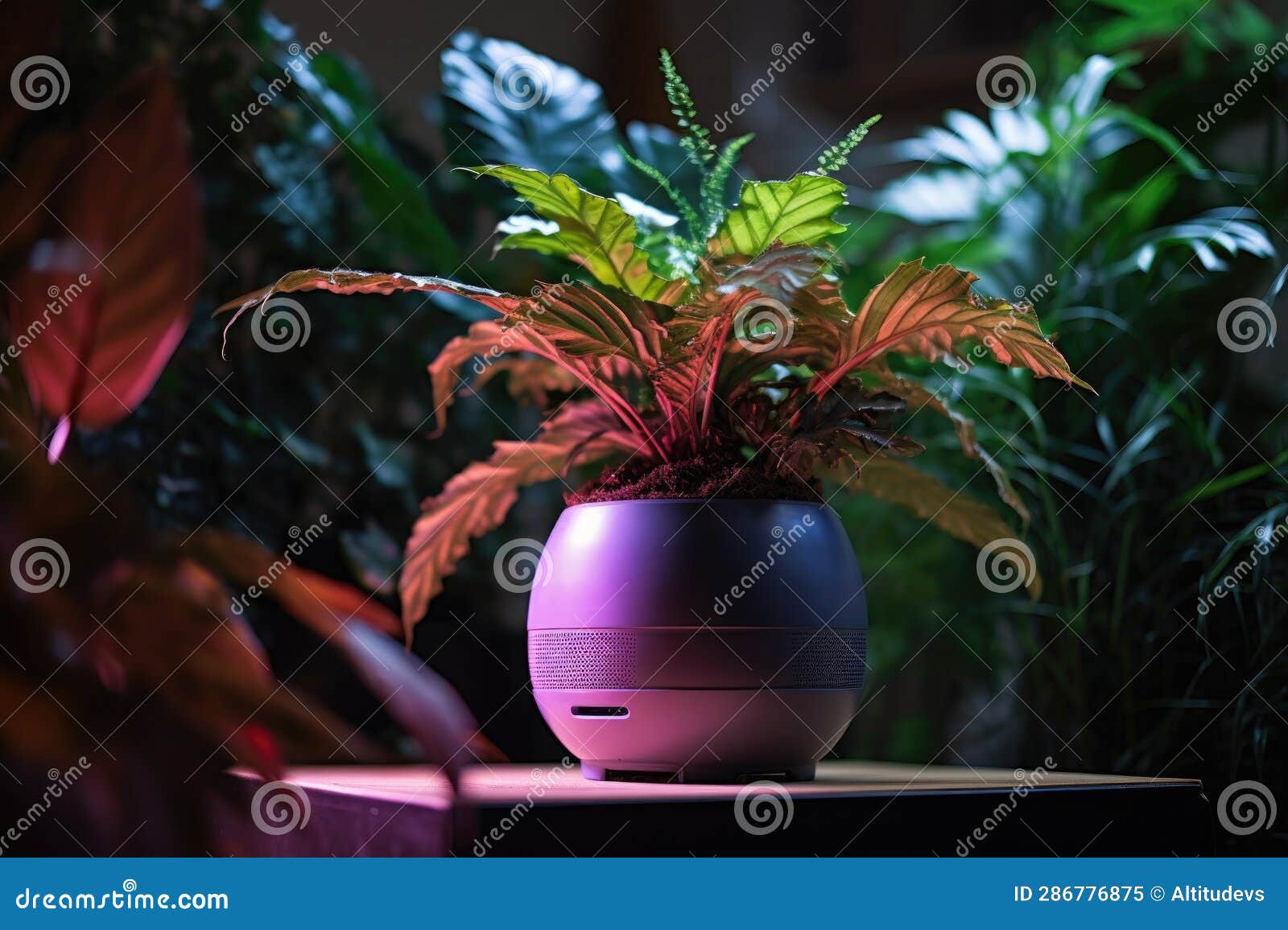 A Close-up of a Smart Pot with Thriving Plant Inside Stock Illustration ...