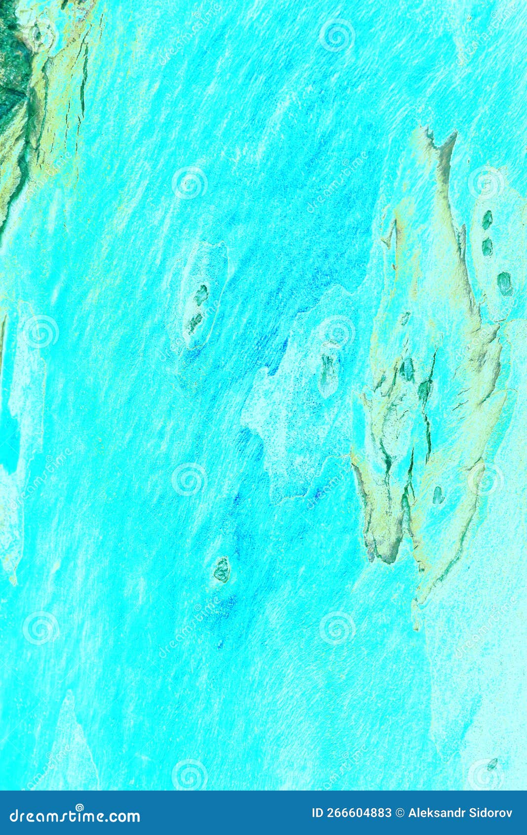 Close-up of Smooth Tree Bark, Smooth Bark with Few Knots. Changed Color ... Close-up of Smooth Tree Bark, Smooth Bark with Few Knots. Changed Color ...