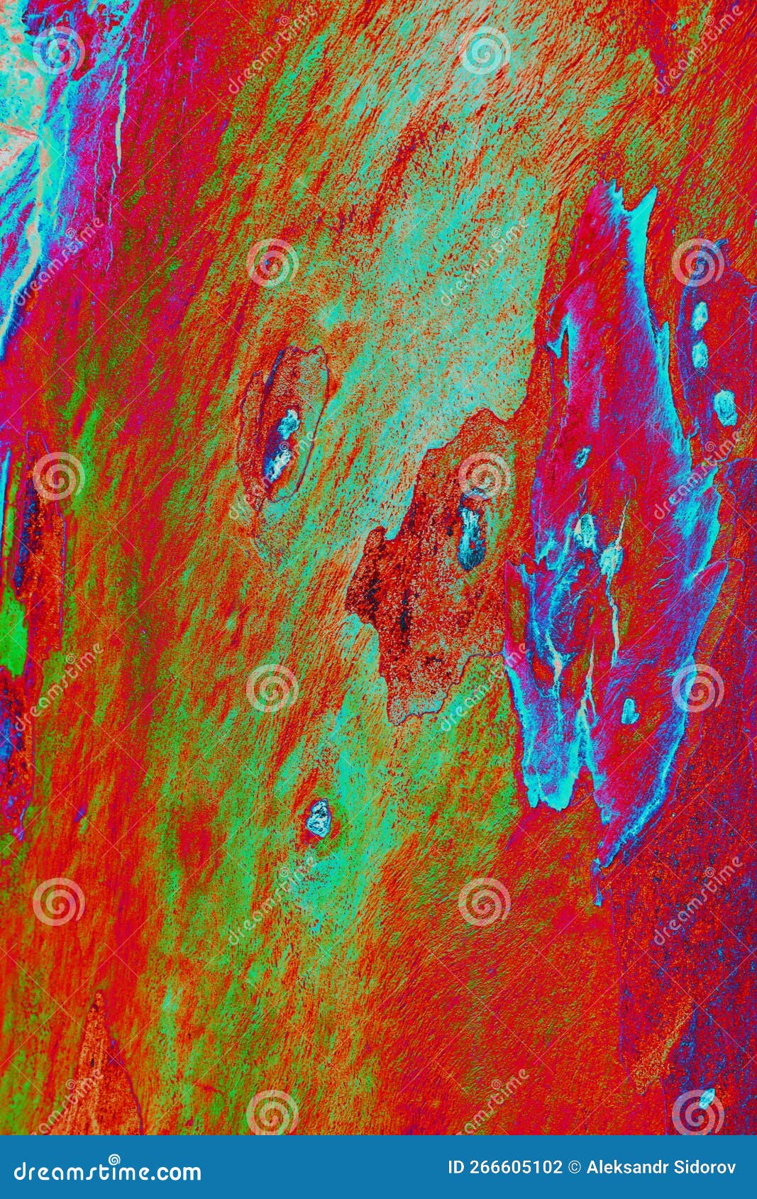 Close-up of Smooth Tree Bark, Smooth Bark with Few Knots. Changed Color ... Close-up of Smooth Tree Bark, Smooth Bark with Few Knots. Changed Color ...