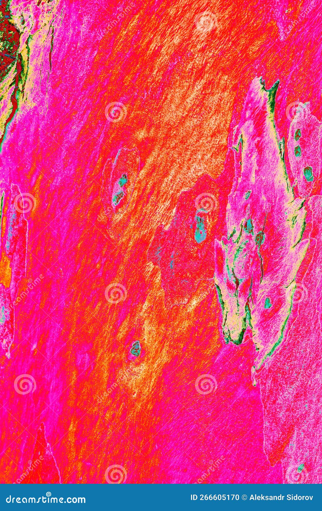 Close-up of Smooth Tree Bark, Smooth Bark with Few Knots. Changed Color ... Close-up of Smooth Tree Bark, Smooth Bark with Few Knots. Changed Color ...