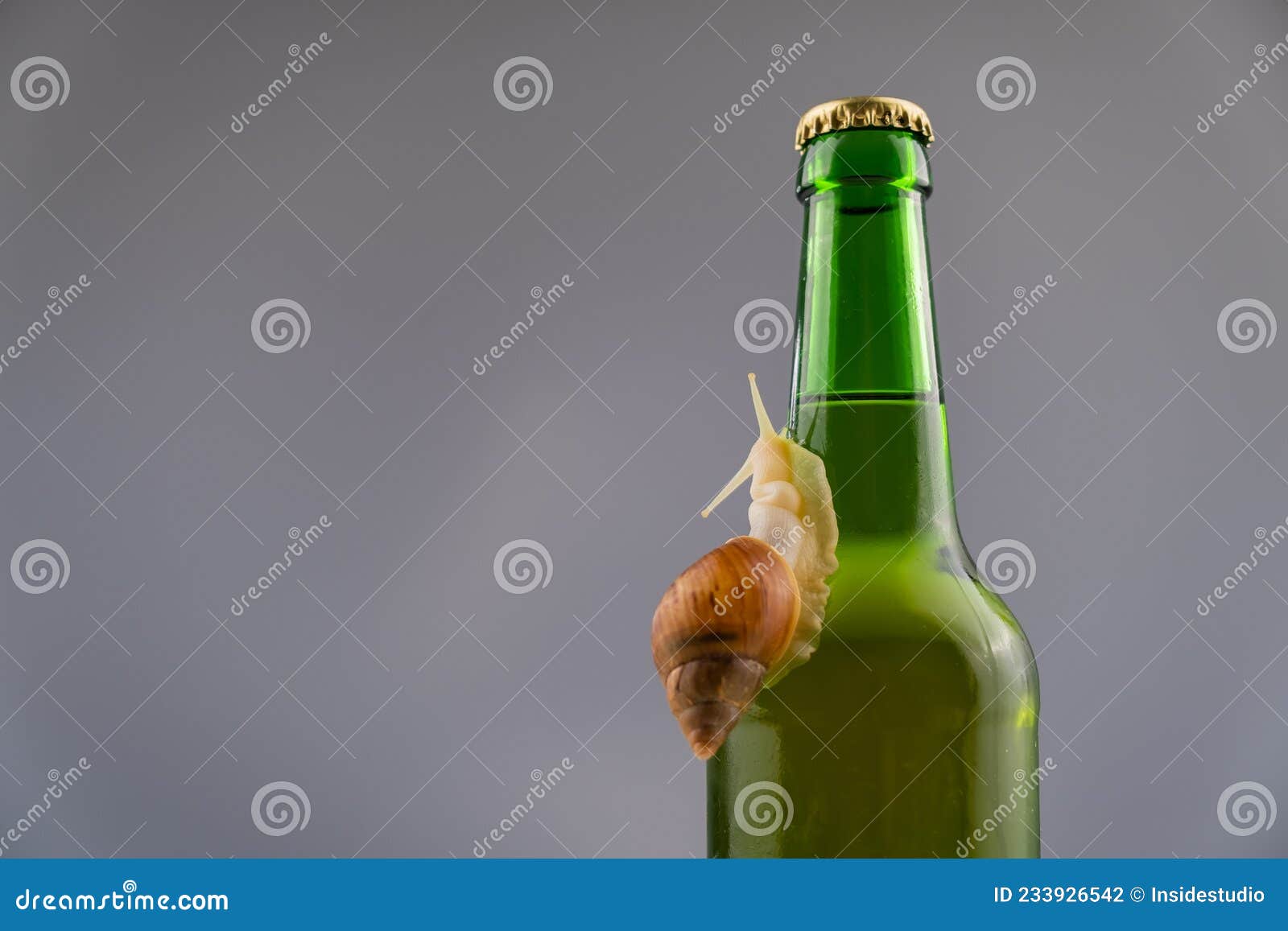 Close-up of a Snail Crawling on a Glass Bottle of Beer in the Studio ...