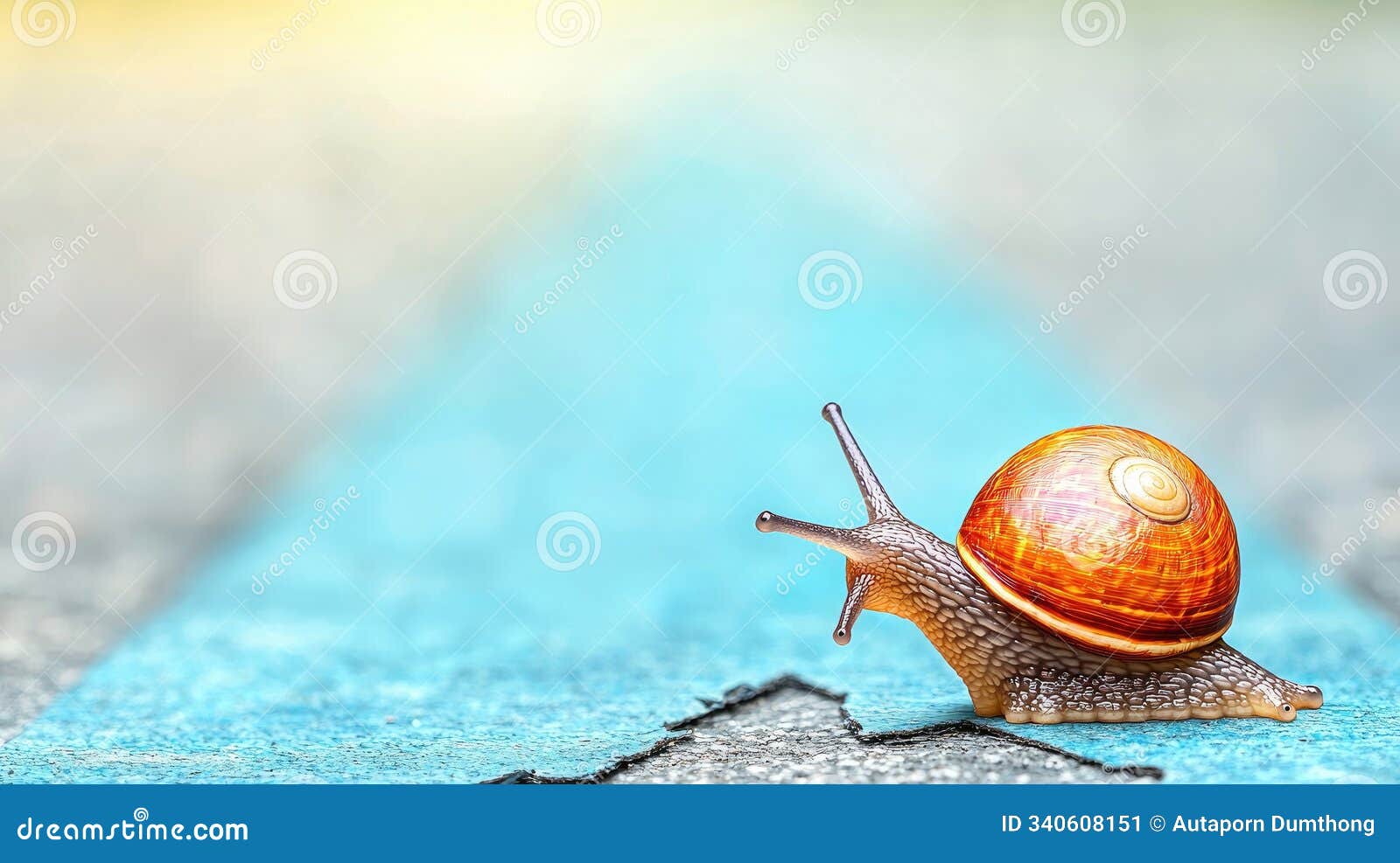 Unique Snail Sea Shell, Icon Vector Illustration | CartoonDealer.com ...