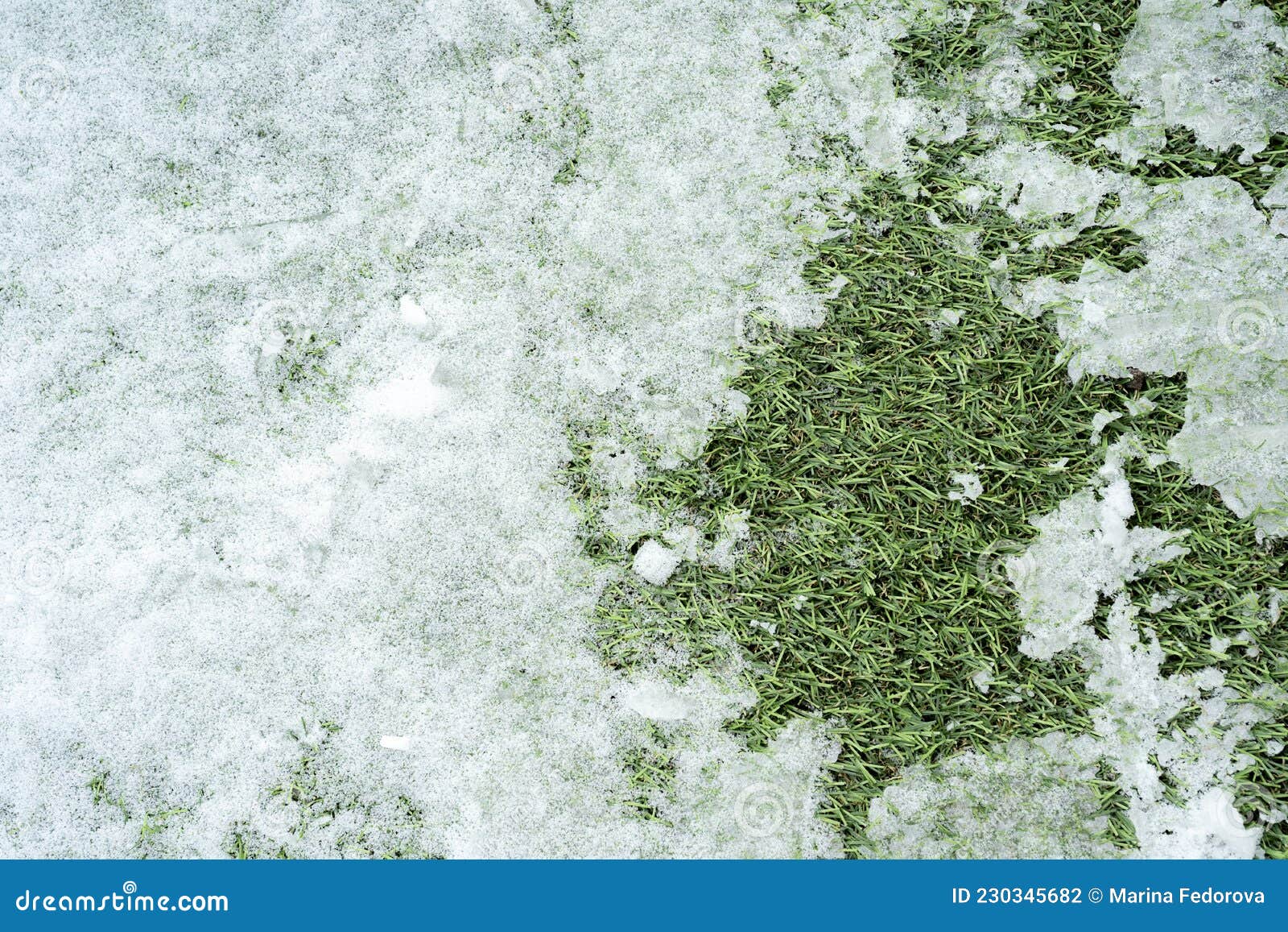 Close Up Snow on the Grass Texture for Background Stock Photo - Image ...