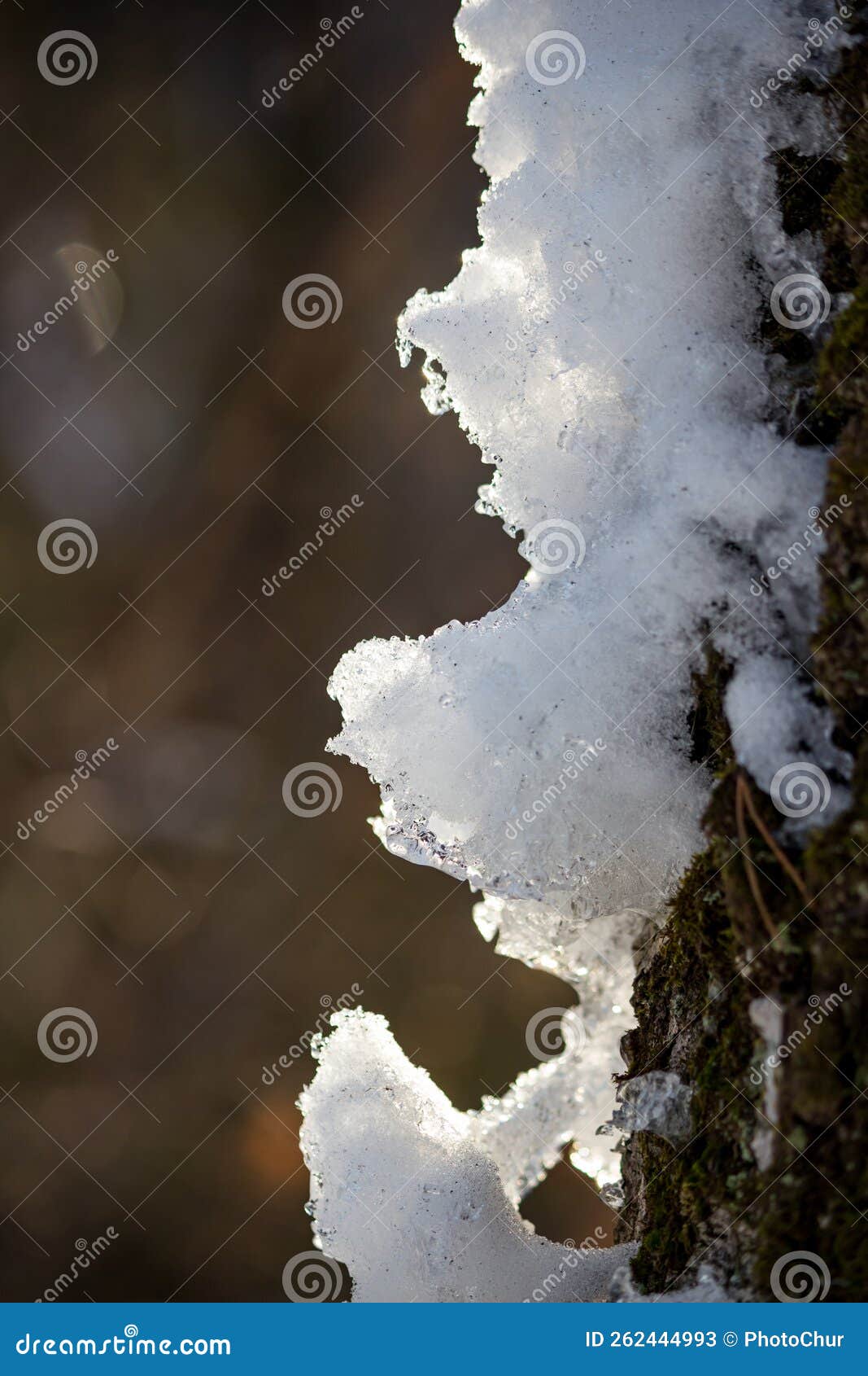 Close-up of Snow Melting during the Thaw and Shining in the Sun Stock ...