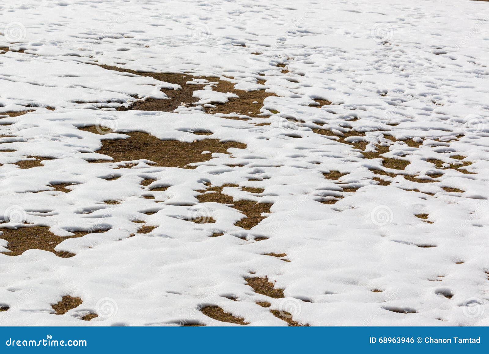 Close Up Snow Texture Thawing Snow. Stock Photo - Image of outdoor ...