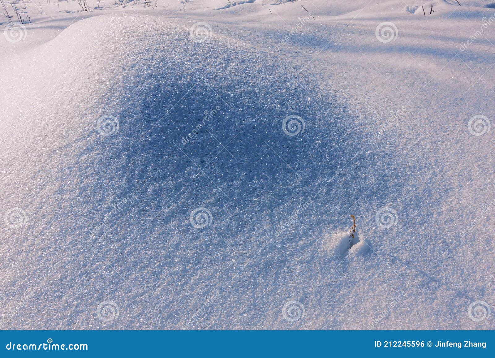 Snowfield stock photo. Image of plant, scenery, landscape - 212245596