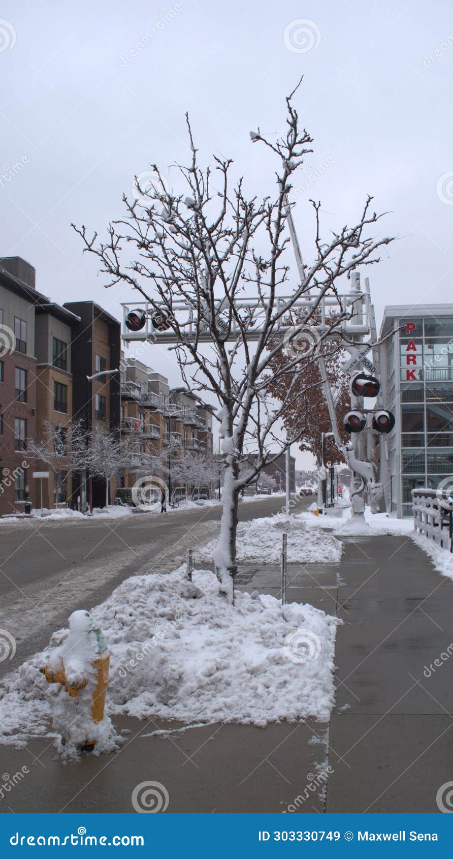 Close Up Snowy Tree Branches Stock Image - Image of change, nature ...