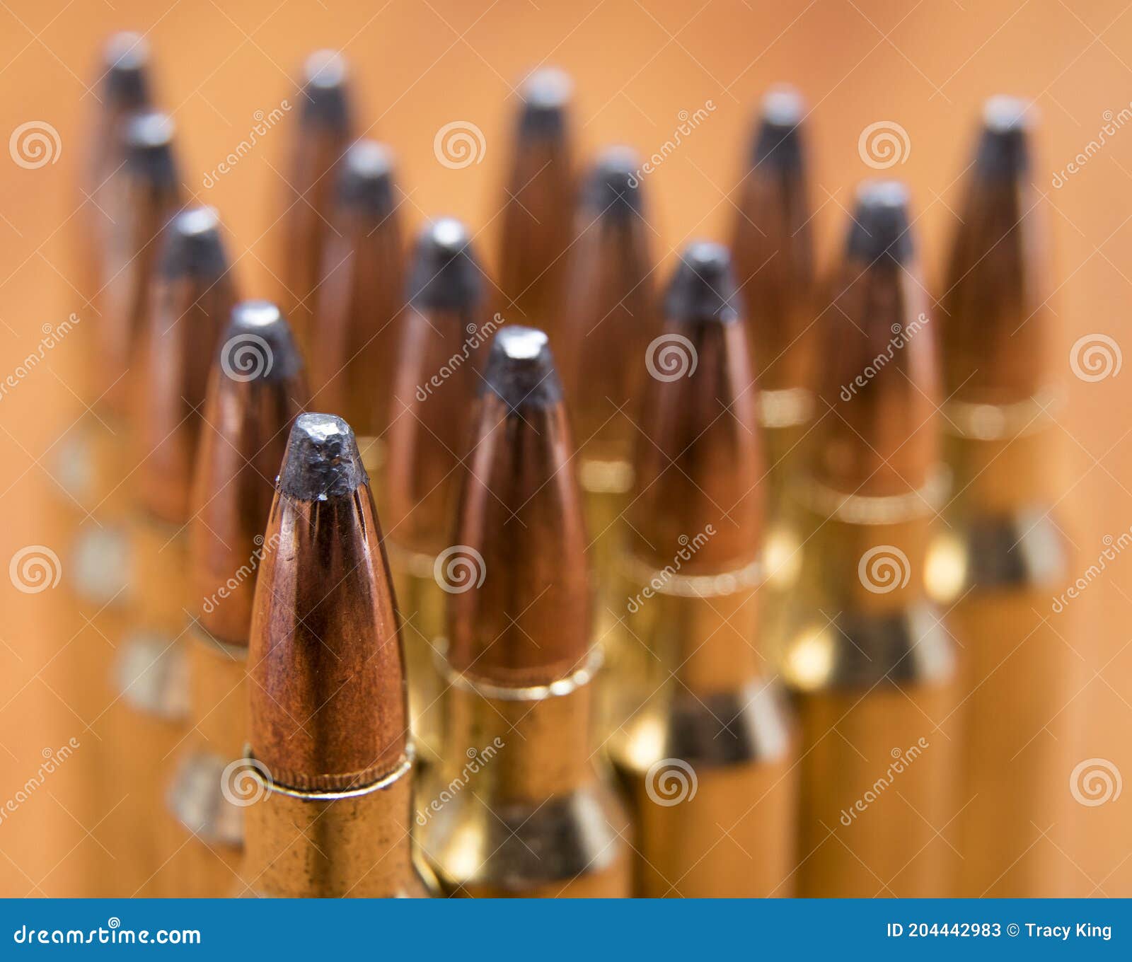 Close Up of Soft Point Bullets in a Pattern Stock Image - Image of ...