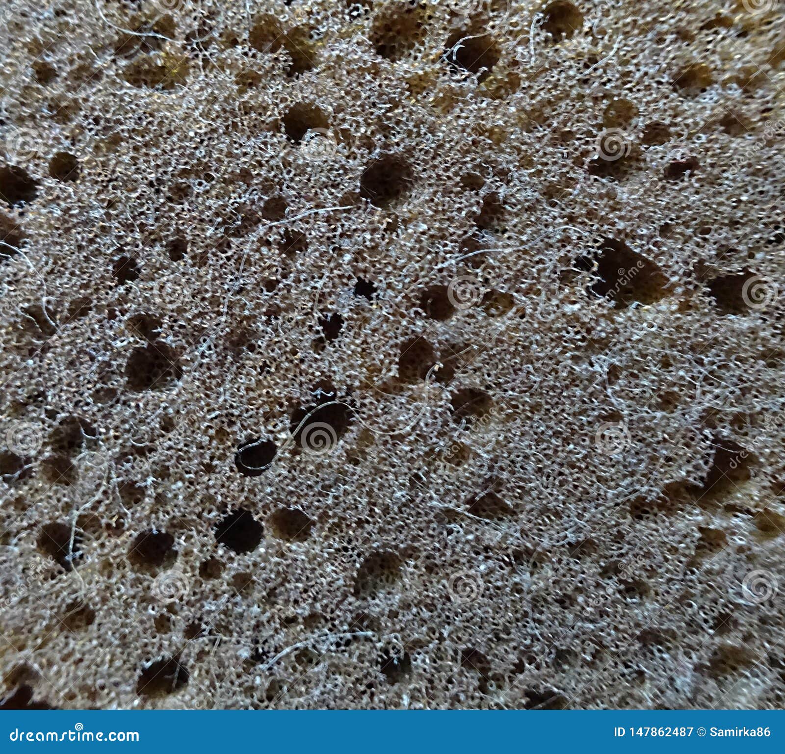 Close Up Soft Sponge Abstract Texture Surface Stock Image - Image of ...