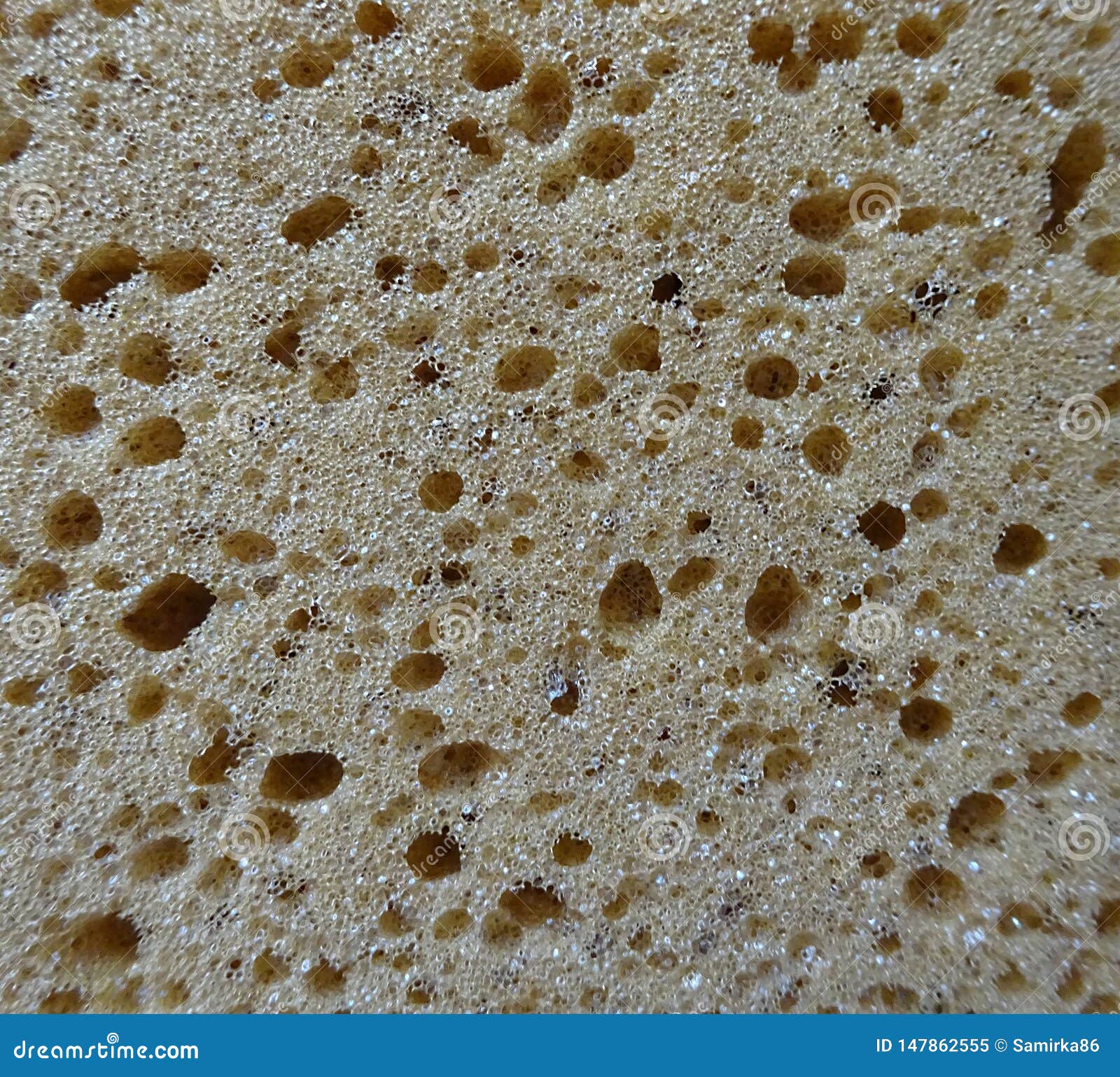 Close Up Soft Sponge Abstract Texture Surface Stock Image - Image of ...