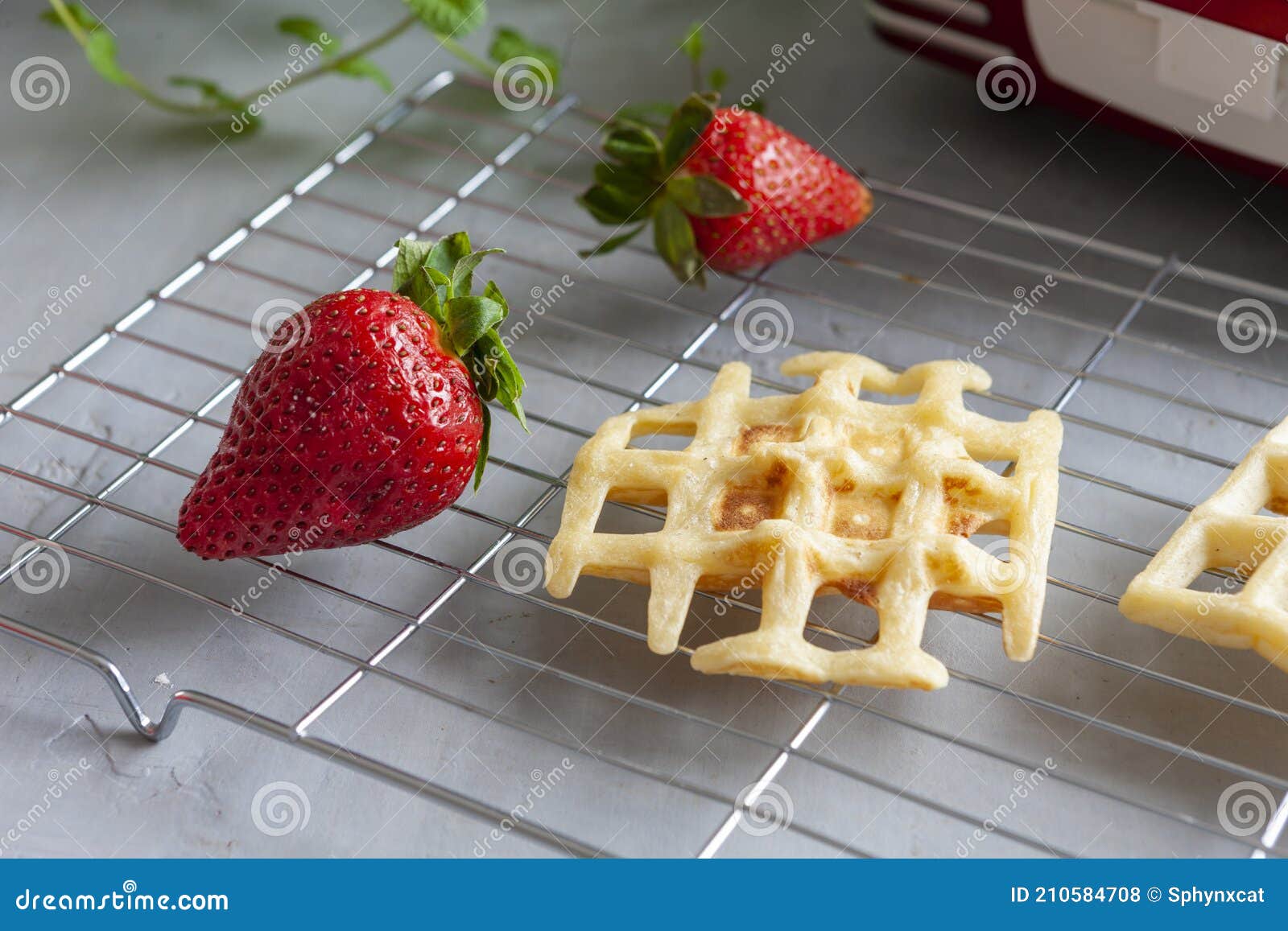 Close-up of Soft Viennese Waffles on the Wire Rack with Blueberries ...