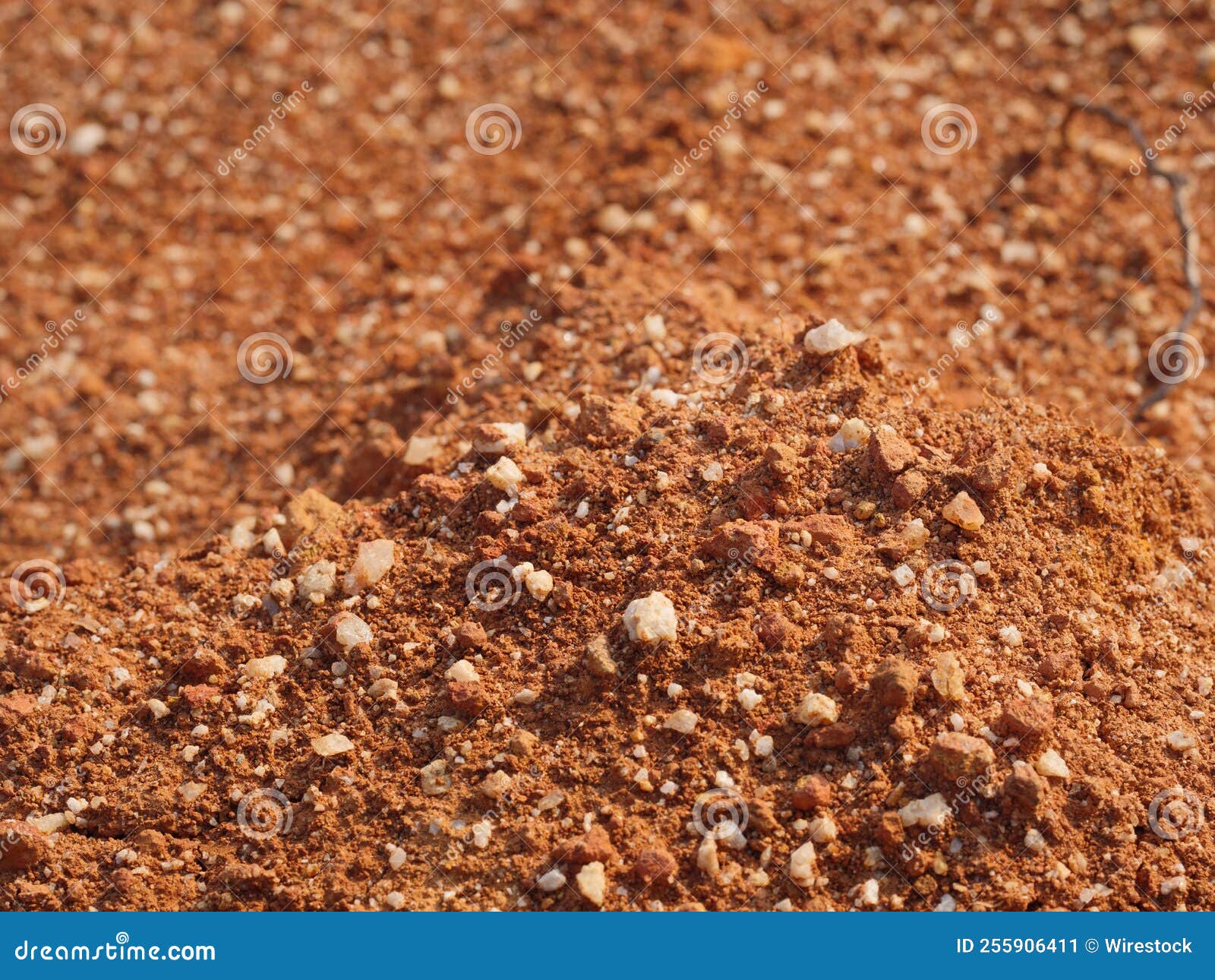 Close-up of Soil Background Stock Image - Image of gardening, natural ...