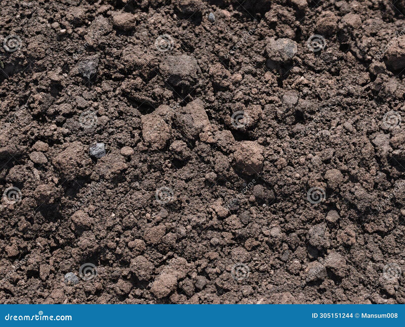 Soil Background Texture. Top View of the Ground Stock Photo - Image of ...