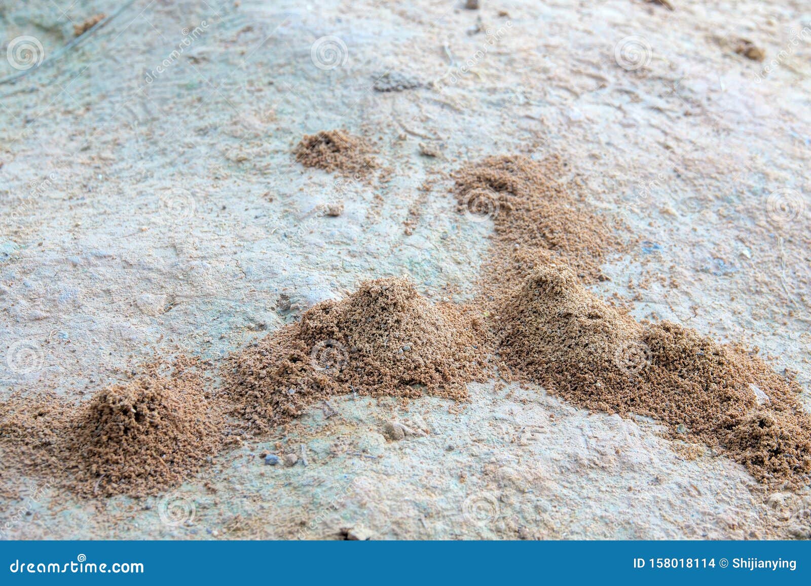 Ant hill stock photo. Image of natural, life, particle - 158018114