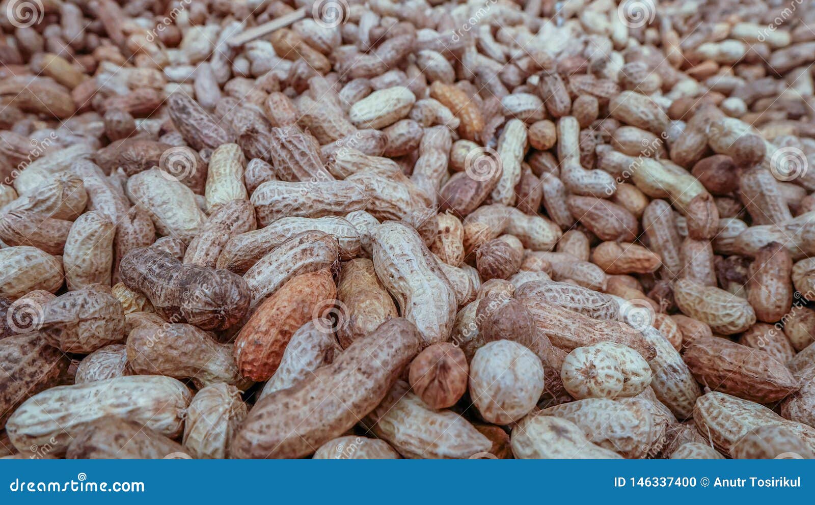 Close Up of Some Peanuts or Groundnut Background Stock Photo - Image of ...