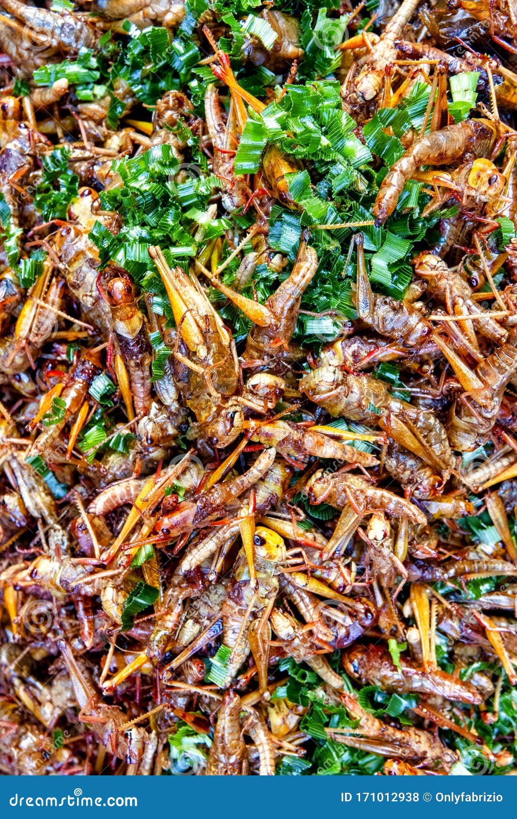 Grasshoppers stock photo. Image of life, fried, thailand - 171012938
