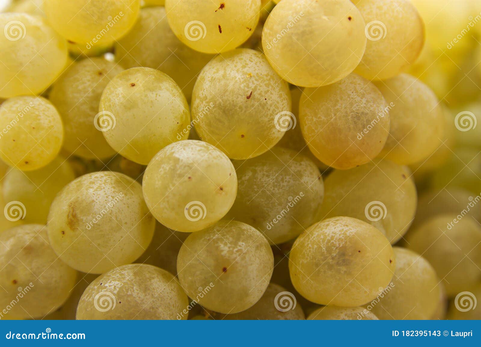 Close-up of Some White Grape Grains Stock Image - Image of nature ...