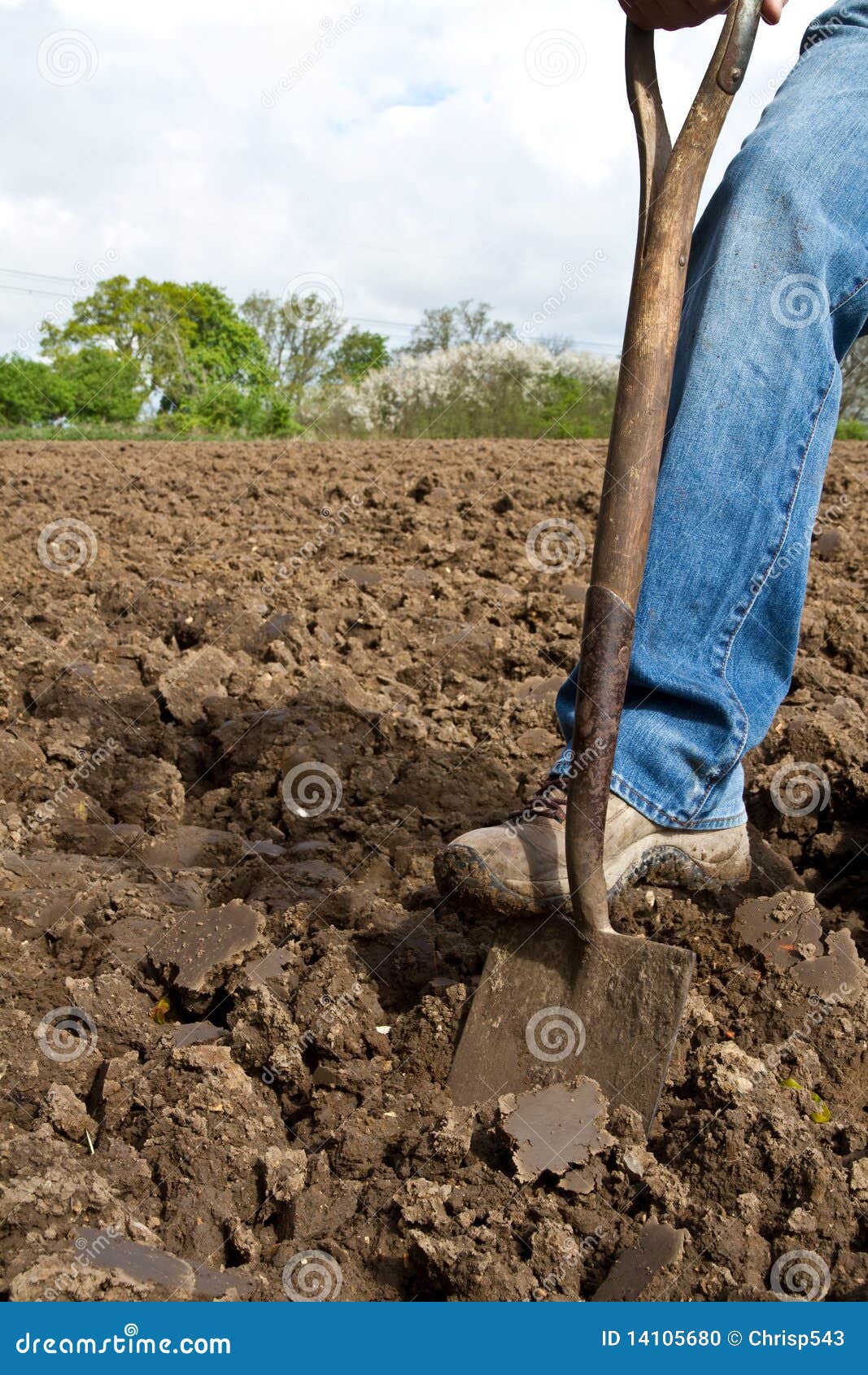 Close Up of Someone Digging Stock Photo - Image of ground, hole: 14105680