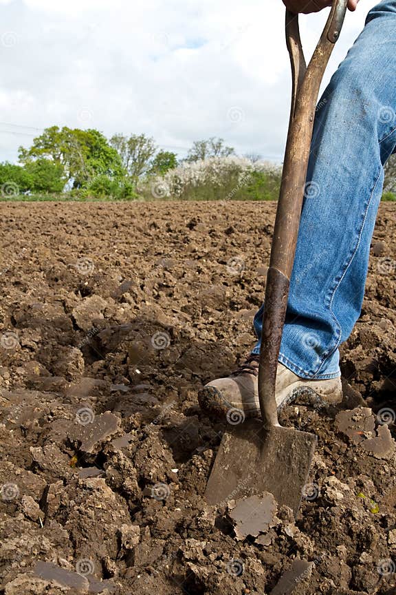 Close Up of Someone Digging Stock Photo - Image of ground, hole: 14105680