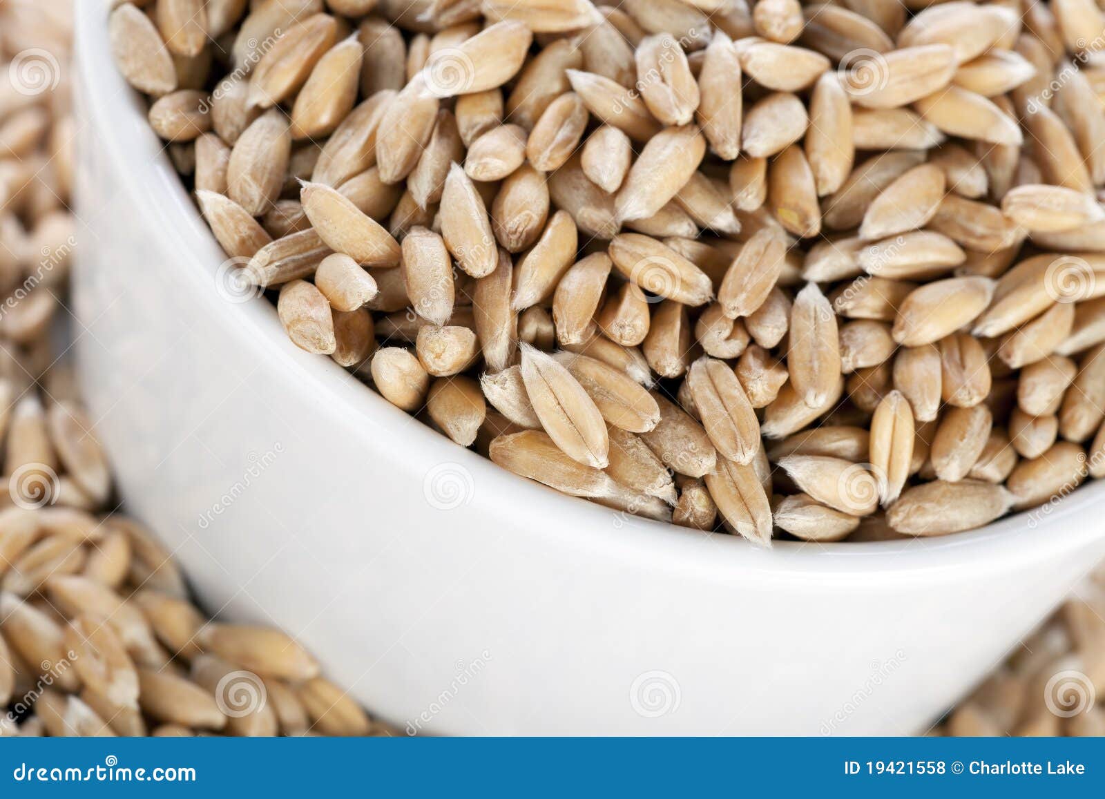 Close-up Spelt Seeds stock photo. Image of grain, food - 19421558