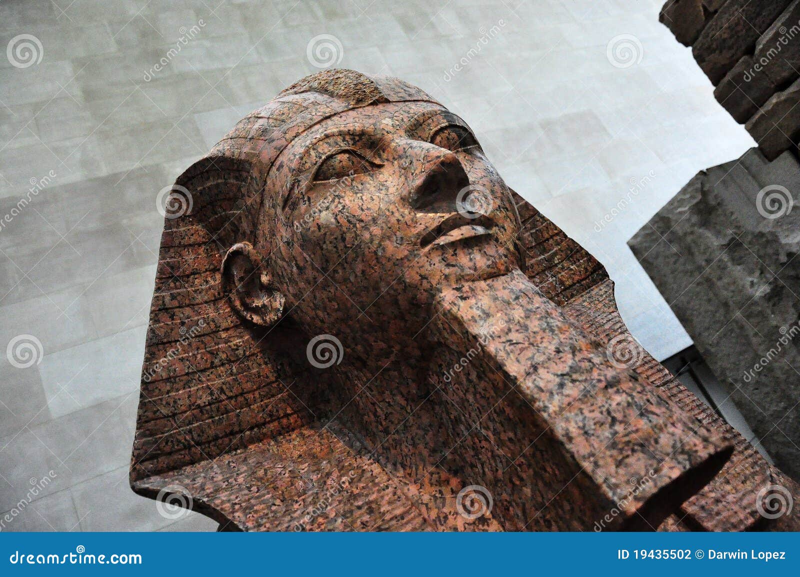 Close up of a sphinx head editorial photography. Image of museum - 19435502